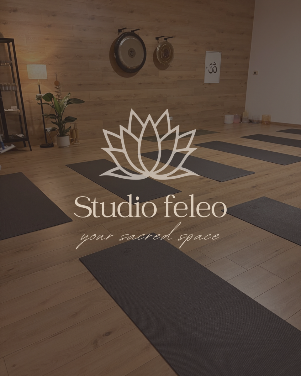 Studio feleo